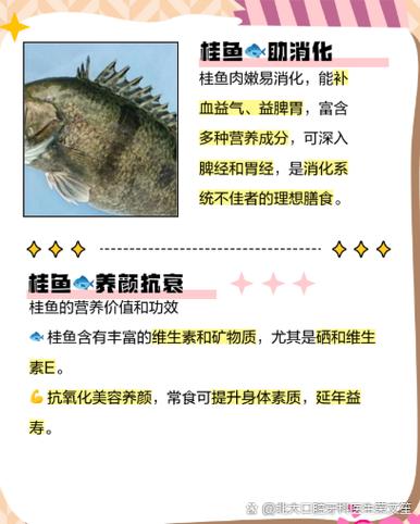 桂鱼营养成分表图标
