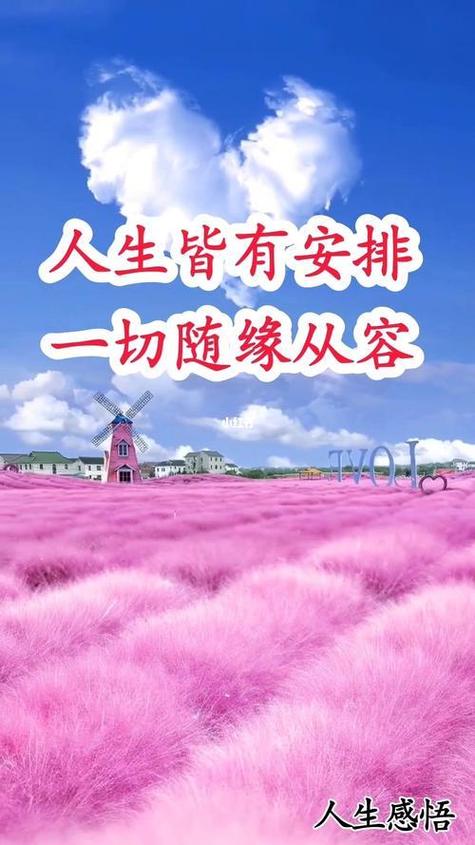 一切随缘正确答案是什么图标