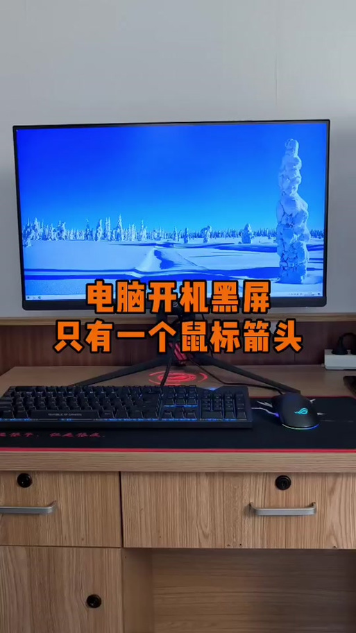 电脑开机只显示鼠标箭头图标