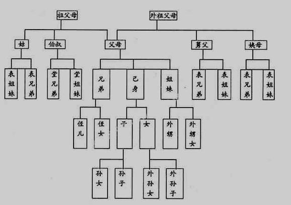 亲友指的是什么关系图标