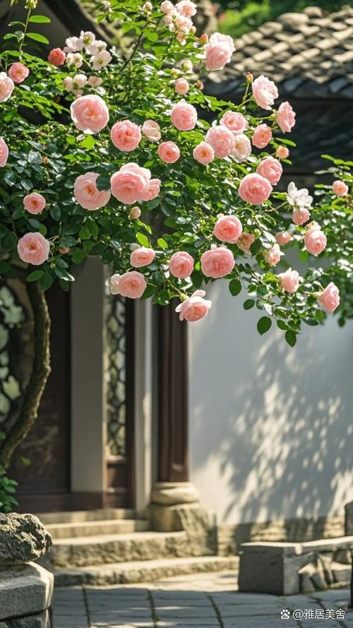 花开花落终有时图标