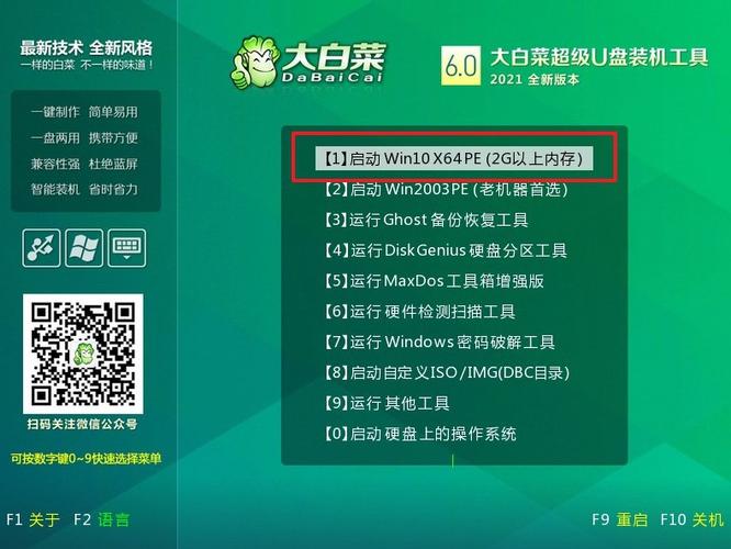 大白菜在线重装系统图标