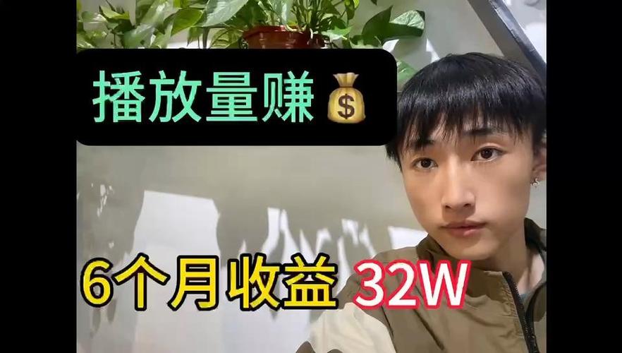 12万播放量能赚多少钱图标
