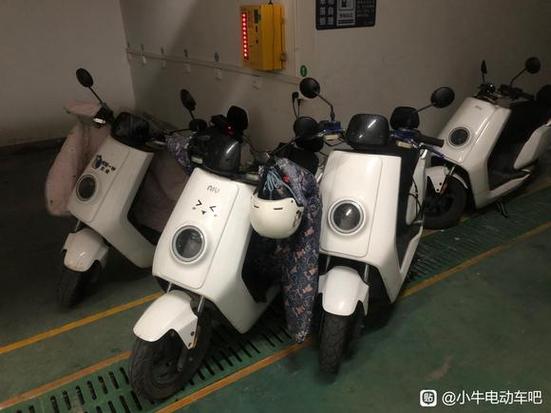 小牛显示00解决办法图标