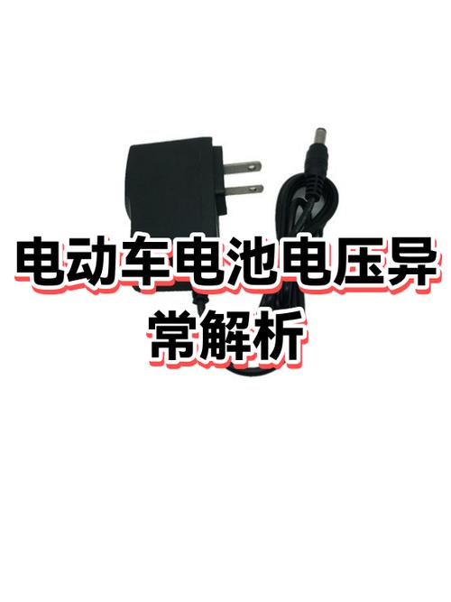 电动车电池电压过低充不了怎么办截图