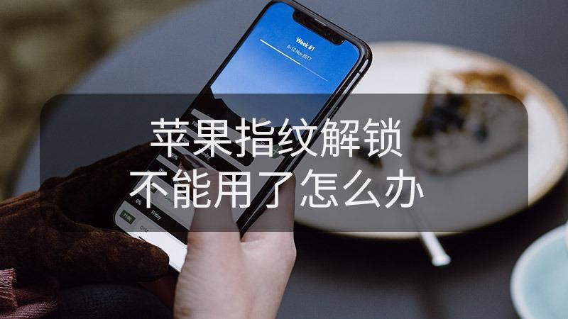 苹果手机没有指纹解锁功能吗截图