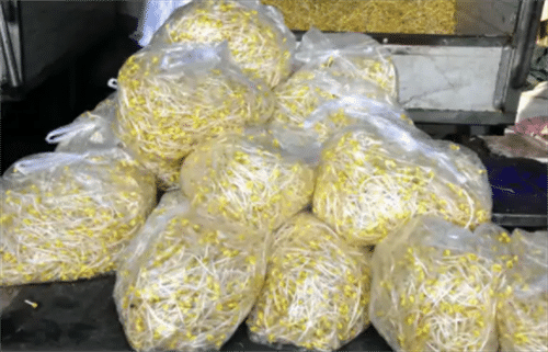 豆芽赚图标