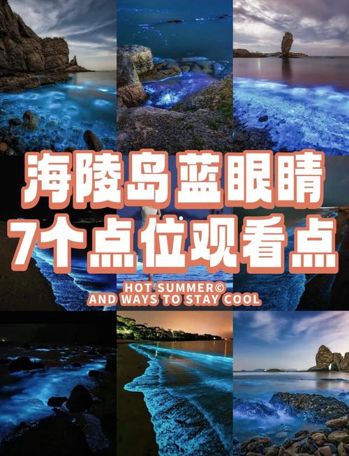 海贼王同人游戏一片海望汉化图标
