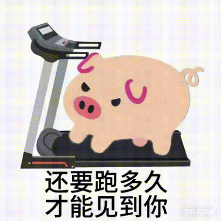 猪动图表情包 gif图标