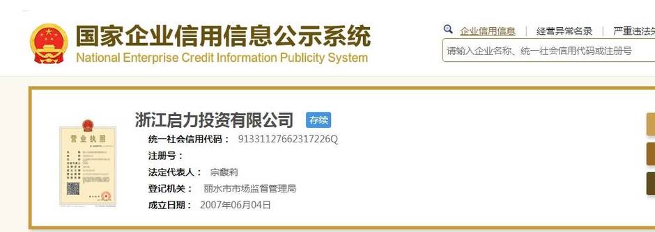 企业信用信息系统官网图标