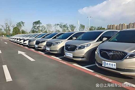 上海租车网截图