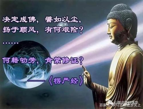 听佛经旧版本安装包
