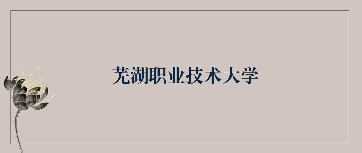 芜湖职业大学录取线截图