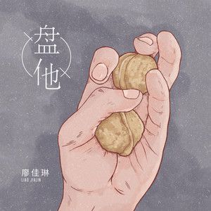盘他2免费下载安装图标