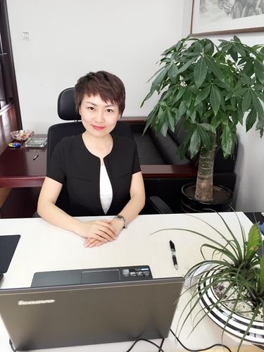 长春晨宇董事长图标