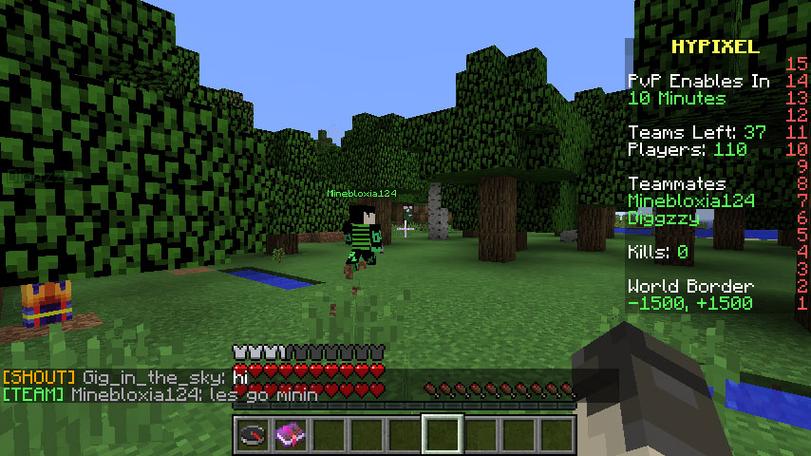 我的世界hypixel组队指令图标