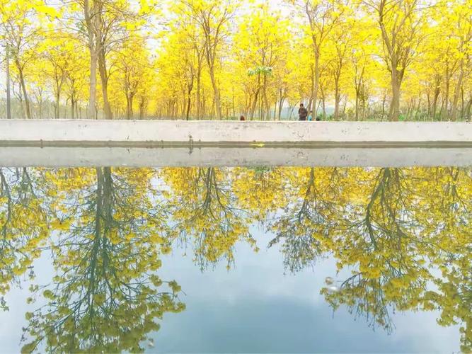 点点花儿开赚钱游戏图标