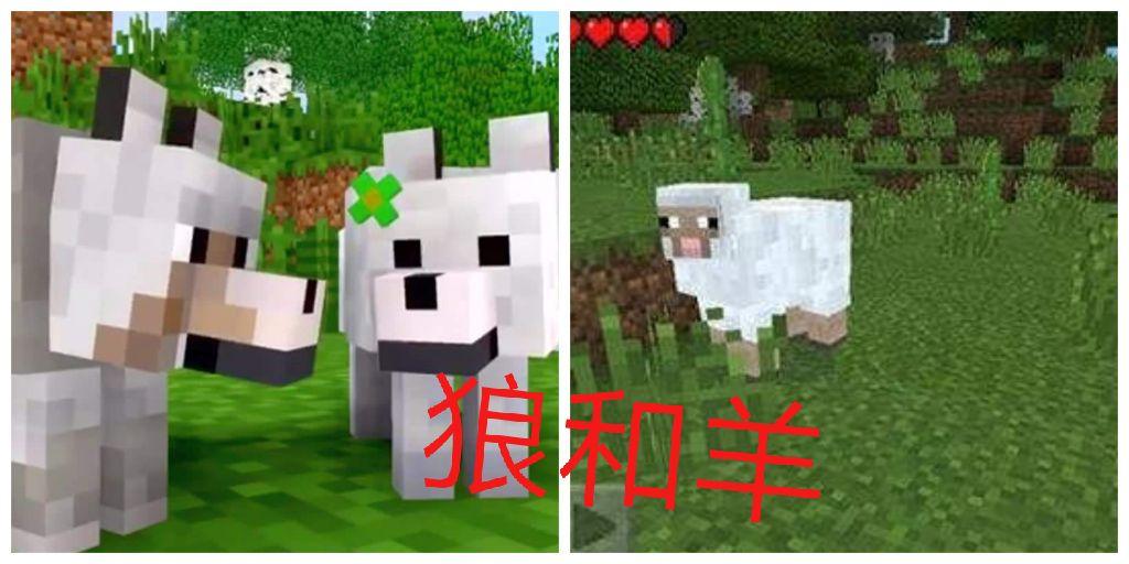 我的世界中的羊有哪些天敌