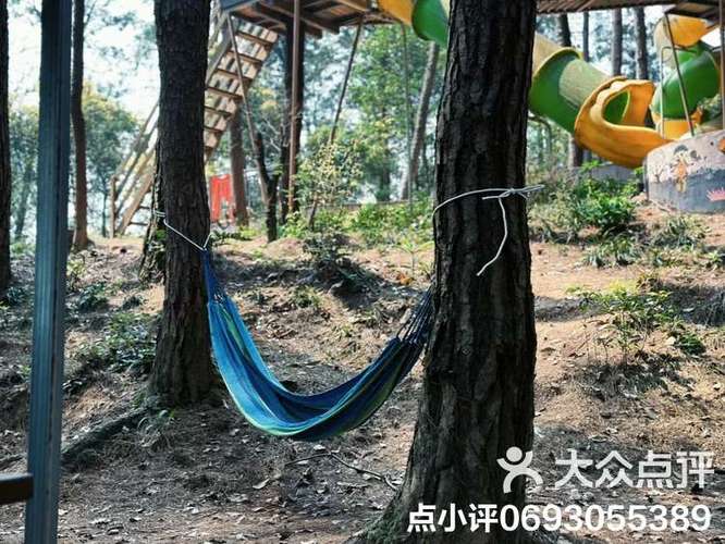 光头强小游戏图标
