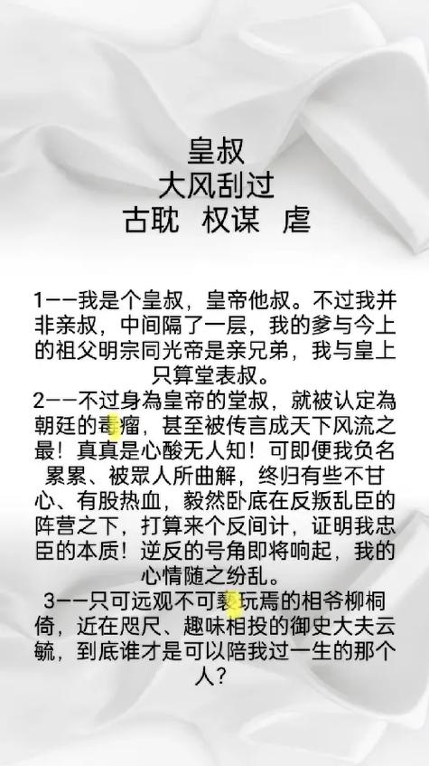 皇叔大风肉图标