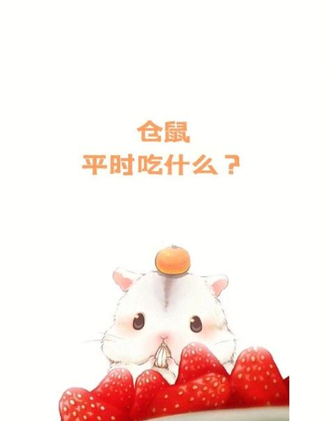 仓鼠能吃肉不截图