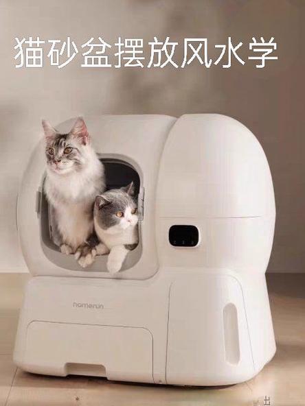 猫砂盆应该放在家里哪个位置