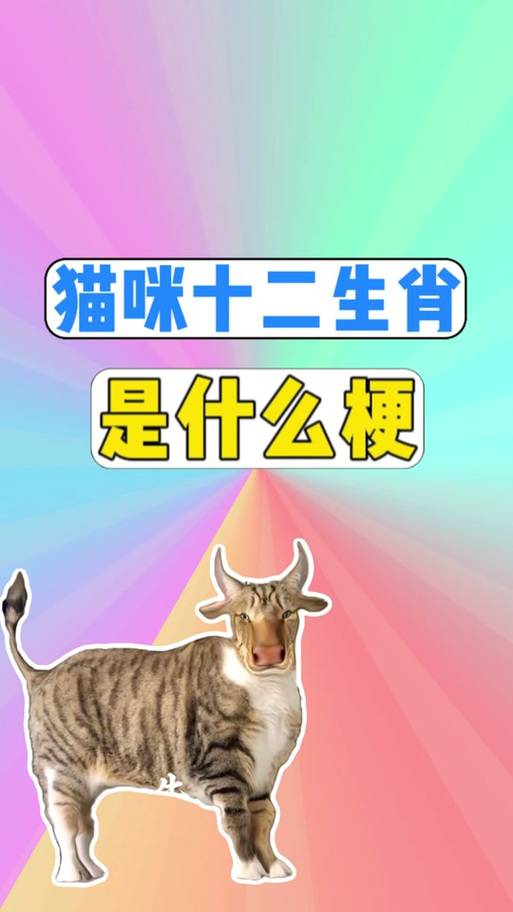 猫最旺三个属相图标