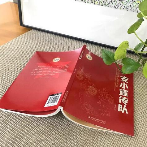 《红书》免费阅读入口图标