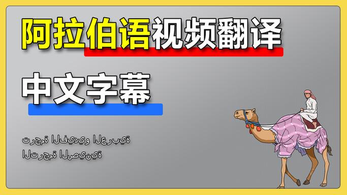 看视频翻译成中文字幕截图