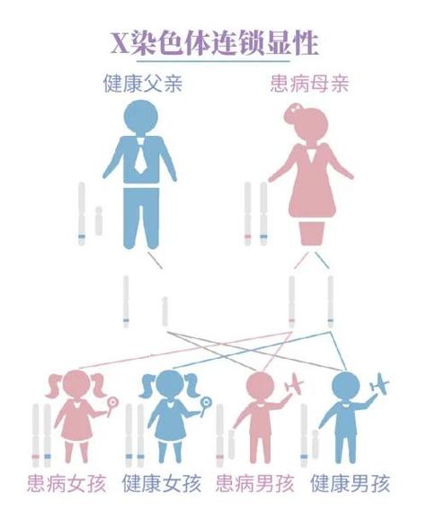 x连锁遗传病的特点图标