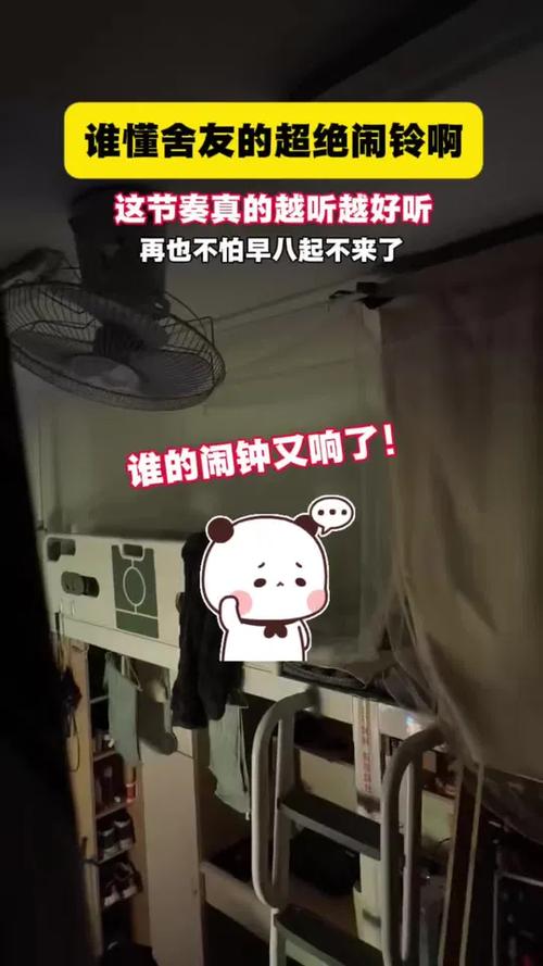 舍友半夜的闹钟图标