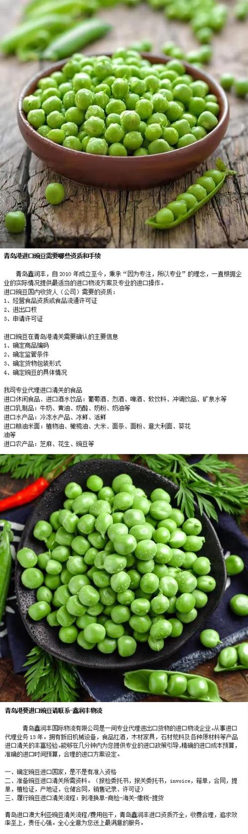 豌豆代理是干什么的截图