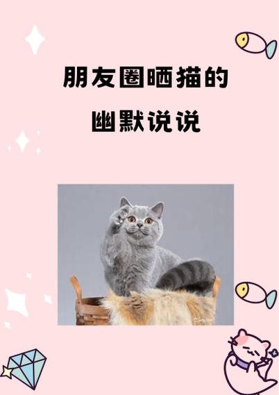 一句简单的晒猫句子图标