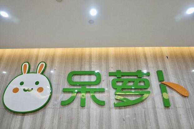 合肥呆萝卜公司招聘信息图标