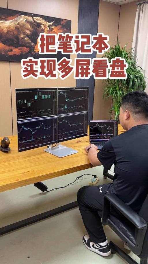 同花顺看盘界面导入图标