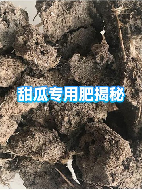 甜瓜用哪种复合肥最好图标