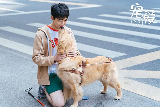 狗狗走路打晃不稳无力不吃东西图标