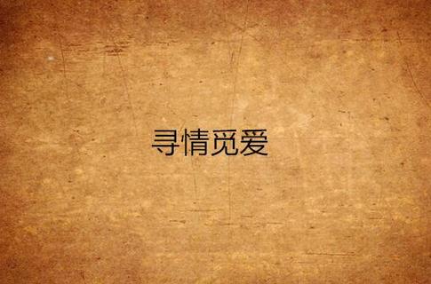 觅爱的意思图标