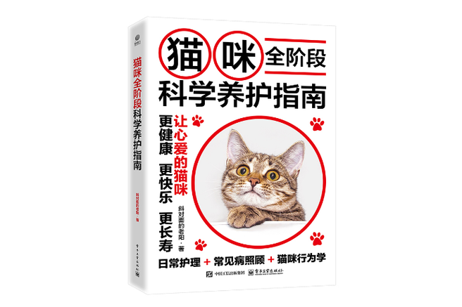 养猫的利润和成本图标