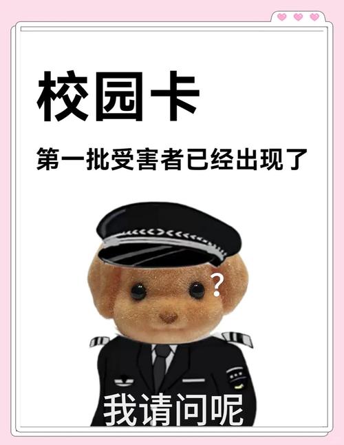 被学姐骗了办了校园卡怎么办图标