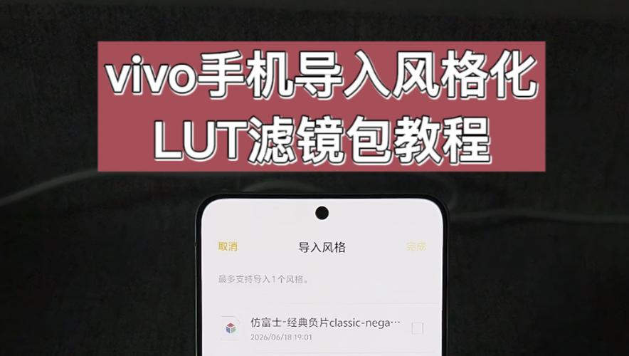 vivo手机相机怎么调滤镜图标