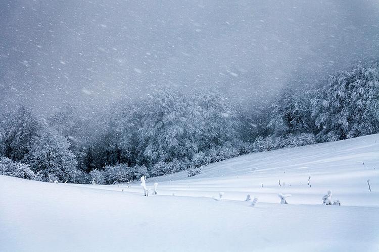 皑如山上雪短剧未删减版图标