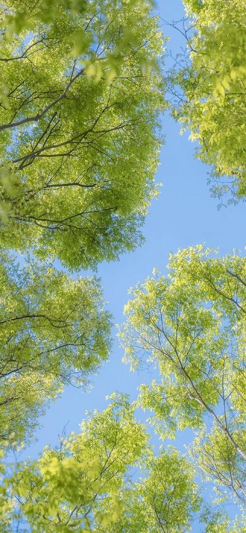 微信朋友圈背景图保存图标