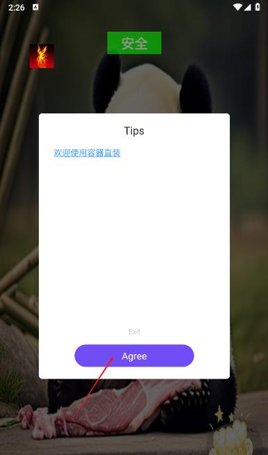 和平精英Dy容器直装截图