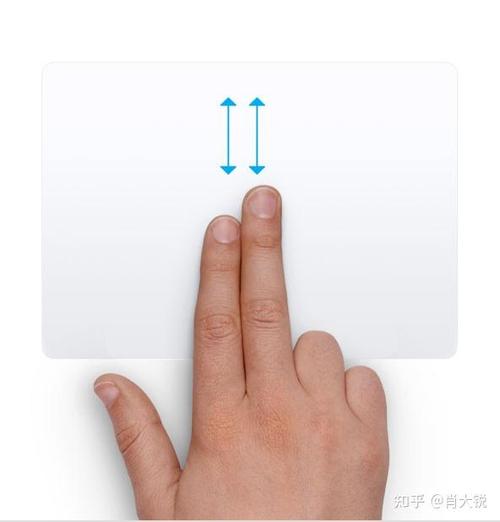 苹果多指触控怎么关截图