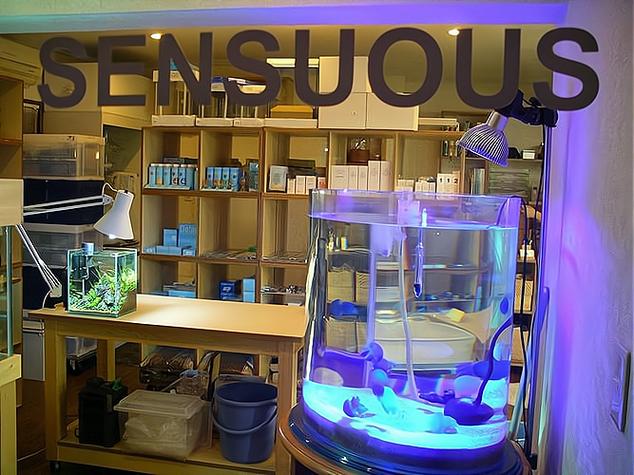 开水族店赚钱吗截图