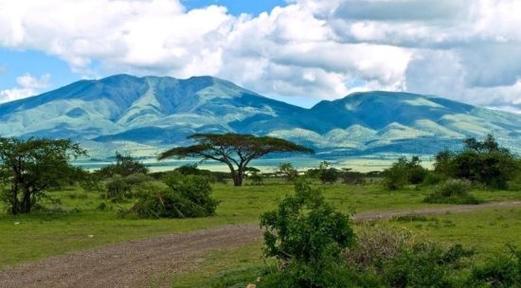 Serengeti National Park图标