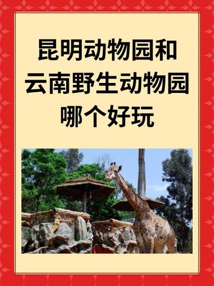 动物园多大可以免费截图
