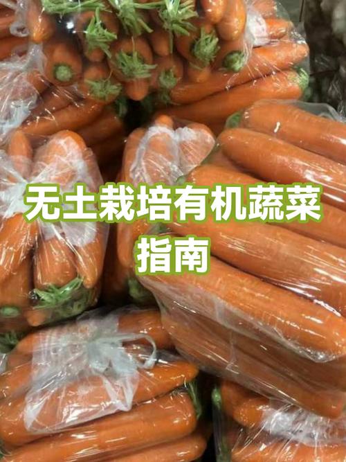 有机蔬菜是什么图标