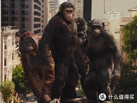 猩球崛起3剧情介绍图标